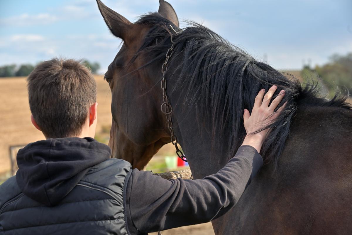 Equine Therapy | Teen Addiction Therapy in North Carolina